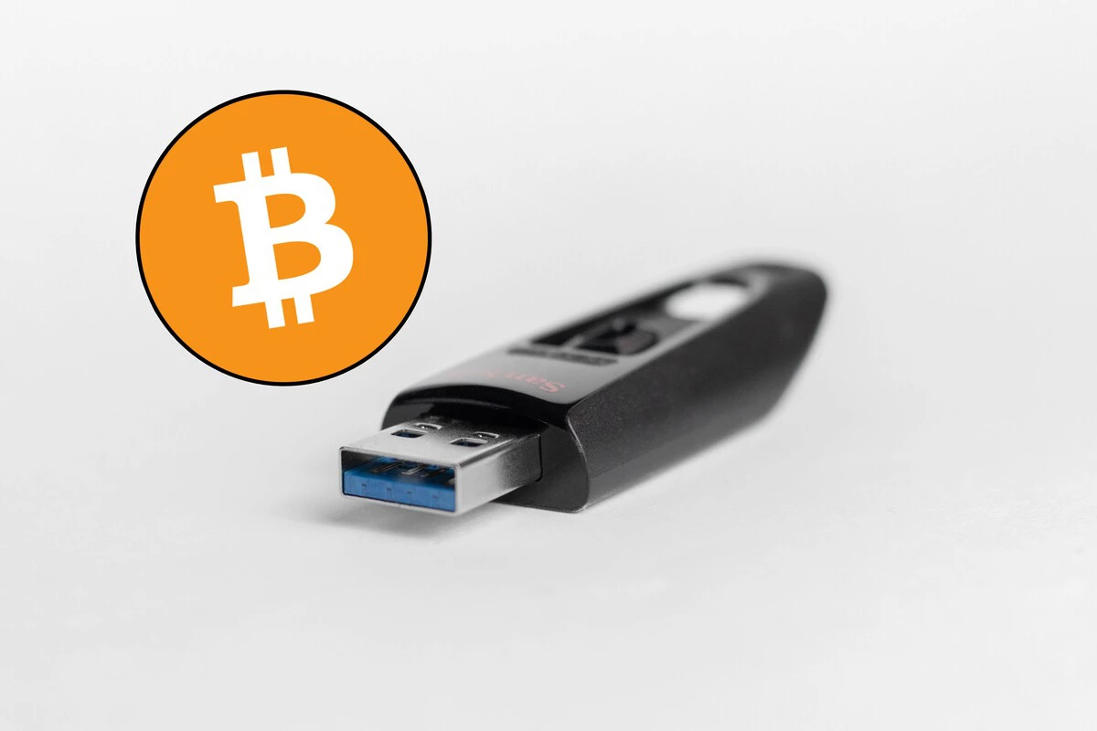 Un hombre olvidó la contraseña de su memoria USB con 225 millones de ...