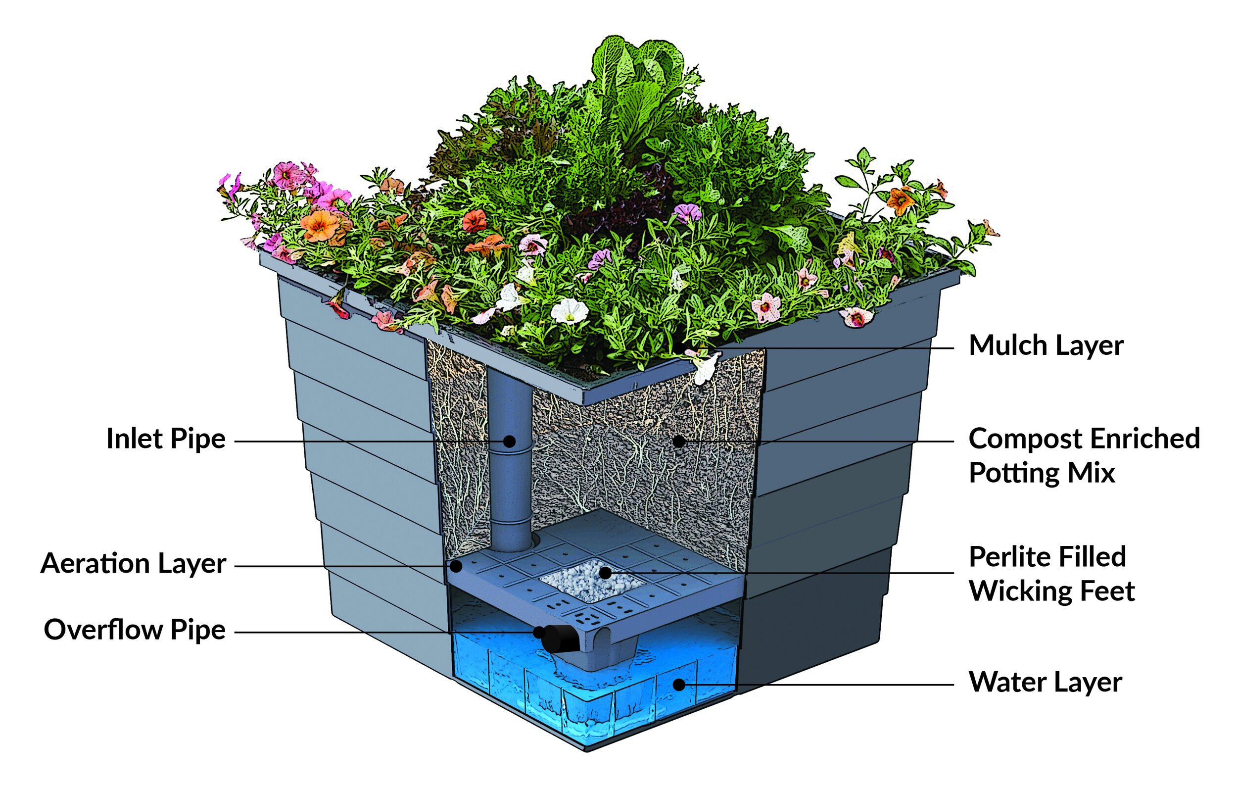 WaterUps, la solución innovadora para combatir la sequía - Laita Digital